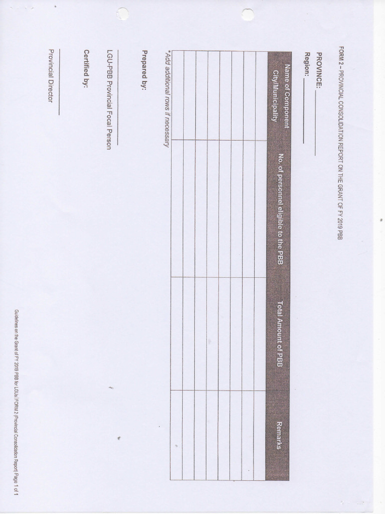Form 2 Provincial Consolidation Report on the grant of 2019 PBB | PDF