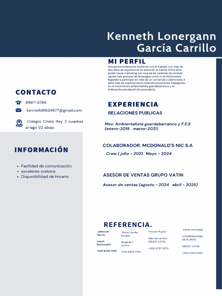 Currículum Vitae Asesor Financiero Profesional Corporativo Azul y Gris PDF | PDF