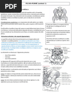 TEMA 11. Biomecánica de La Cintura Pelviana | PDF | Pelvis | Cintura