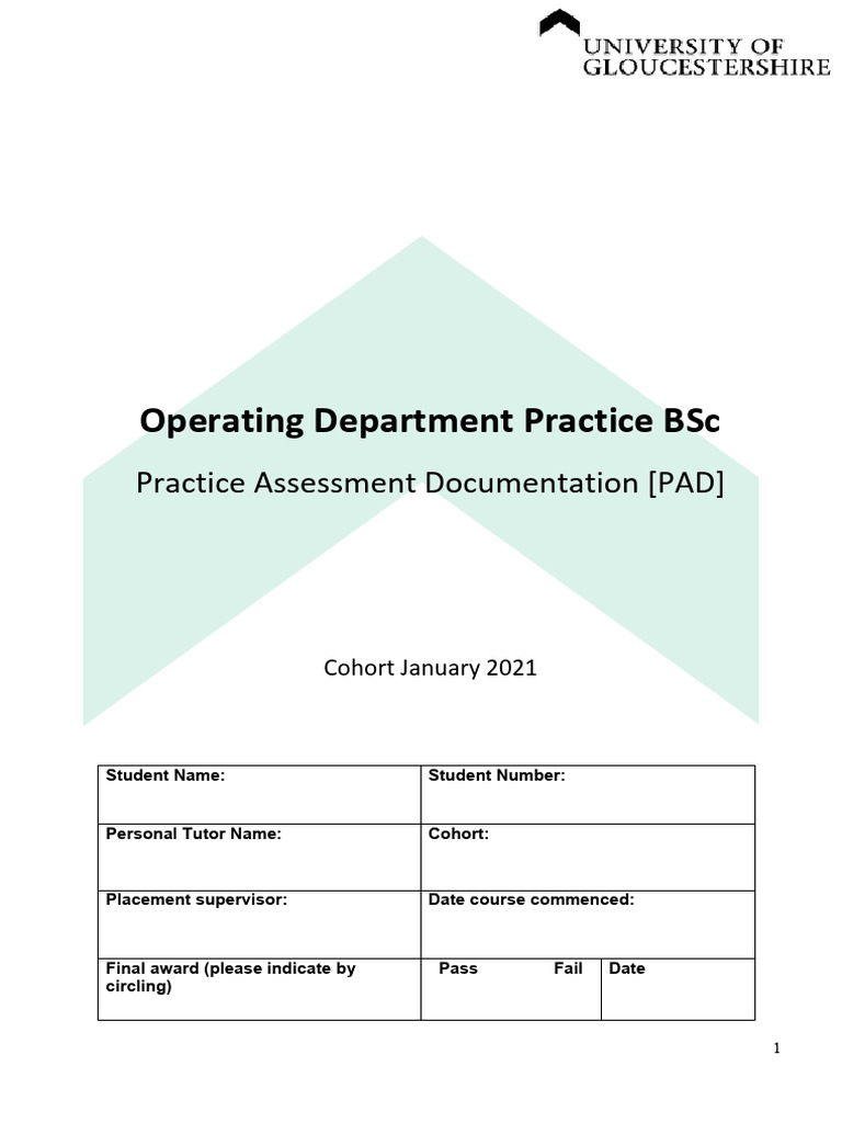 Practice Assessment Document | PDF | Intravenous Therapy | Anesthesia
