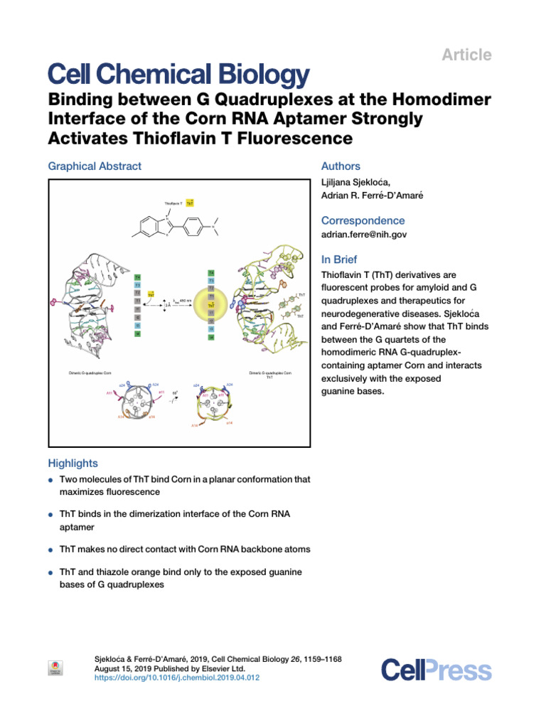 Binding Between G Quadruplexes at The Homodimer Interface of The Corn ...