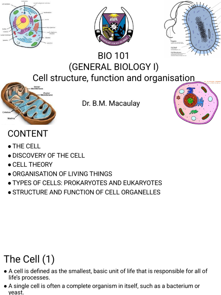 BIO 101 Courseware - DR B M Macaulay | PDF | Cell (Biology ...