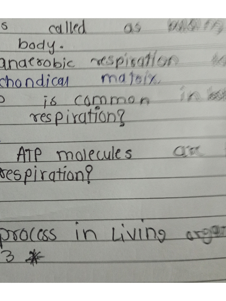 Image to PDF 20250517 06.20.52 | PDF