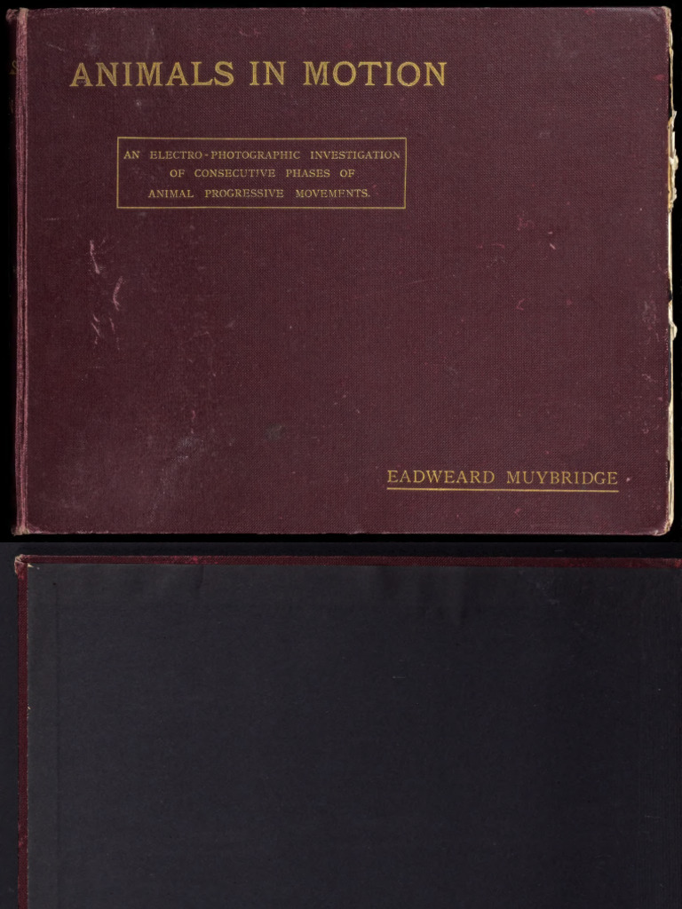 Animals in Motion | PDF | Horse Gait | Terrestrial Locomotion