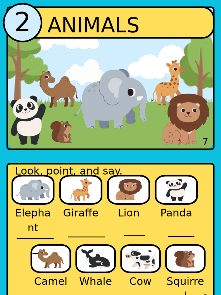 Safiyah - Animals | PDF