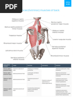 Spinal Red Flags Infographic 1704053180 | PDF | Osteoporosis | Pain