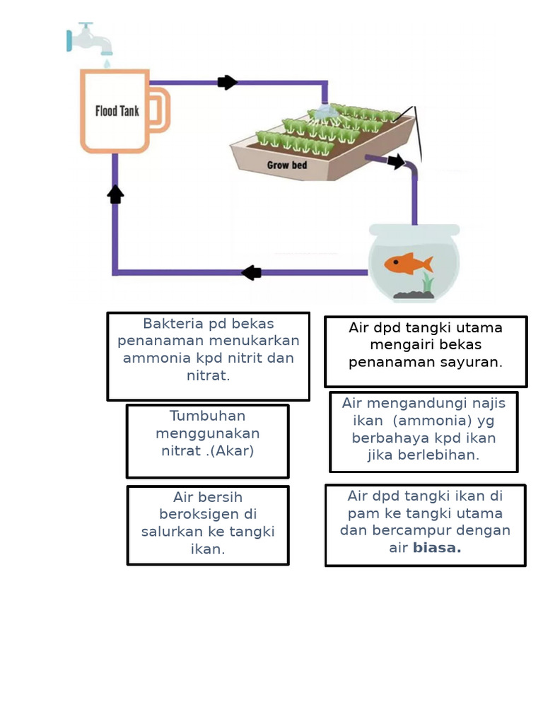 Aktiviti Kump 1 | PDF