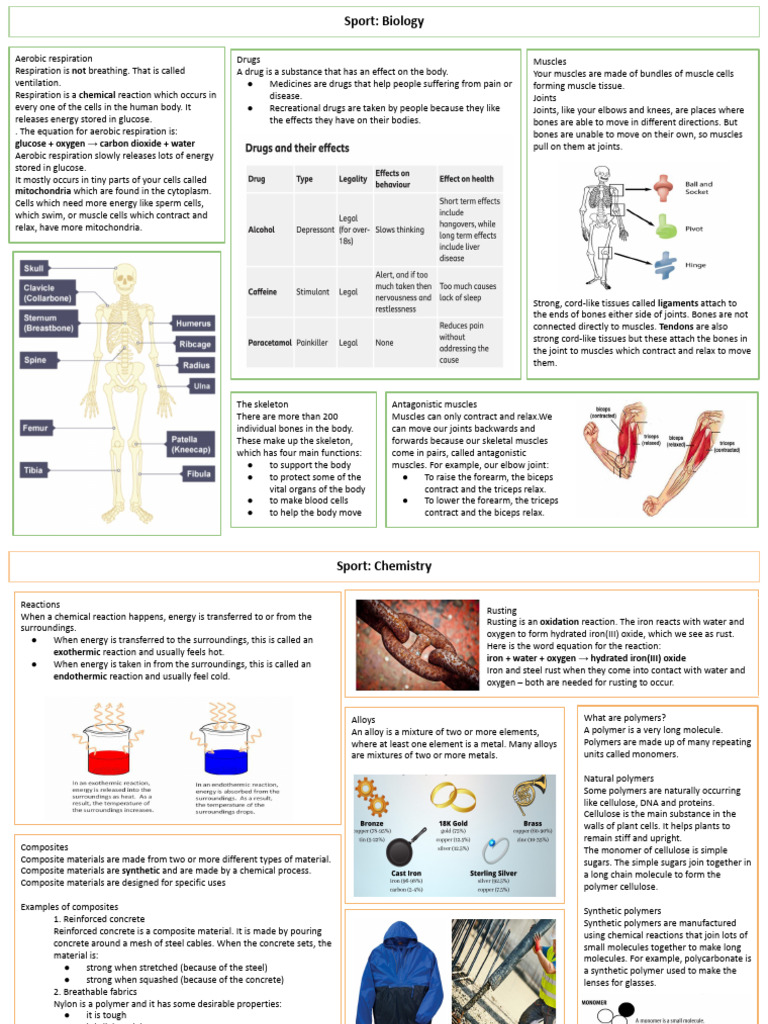 Athletics Knowledge Organiser: Biology | PDF | Skeletal Muscle ...