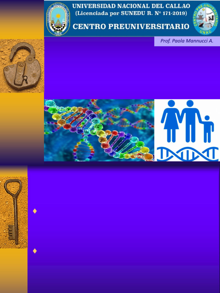 Genética 2024 | PDF | Dominancia (Genética) | Alelo