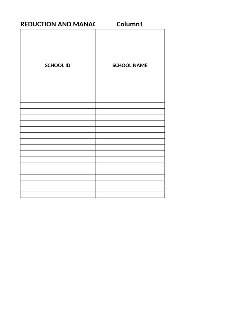 DRRMIS Template | PDF