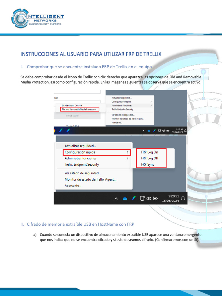Instrucciones FRP Trellix v1 | PDF | Tecnologías de la información | Software