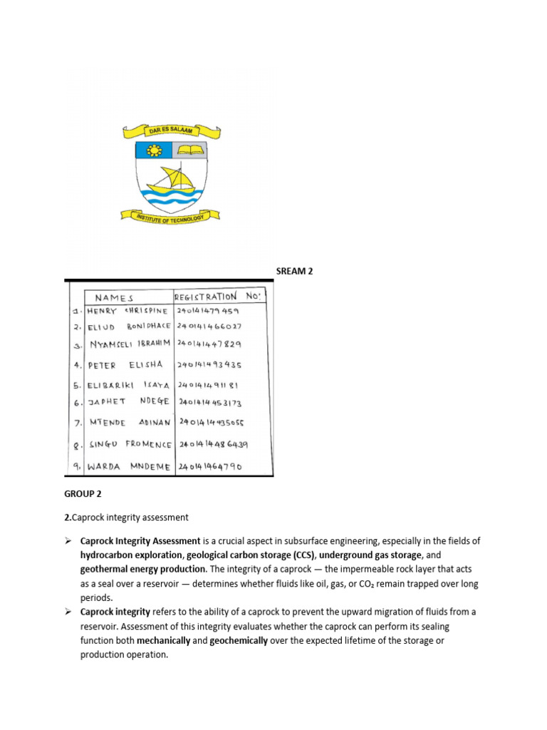Group 2, Caprock, Stream 2 | PDF | Petroleum Reservoir | Mechanical ...