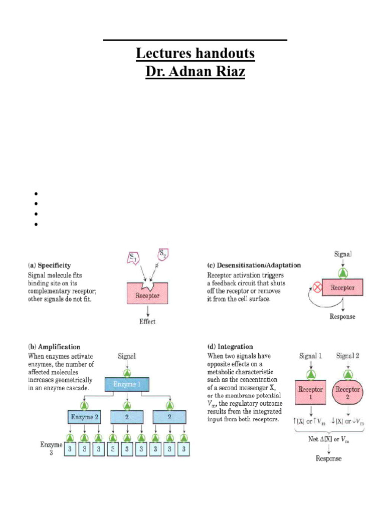 Signal Transduction Lecture Handouts | PDF | Cell Signaling | Signal Transduction