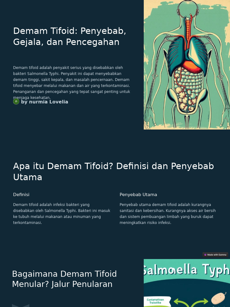 Demam Tifoid Penyebab Gejala Dan Pencegahan | PDF