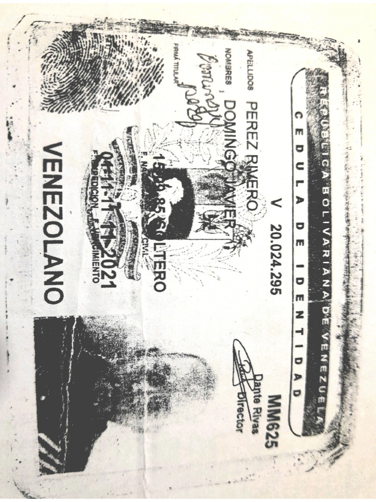 Nuevo documento | PDF