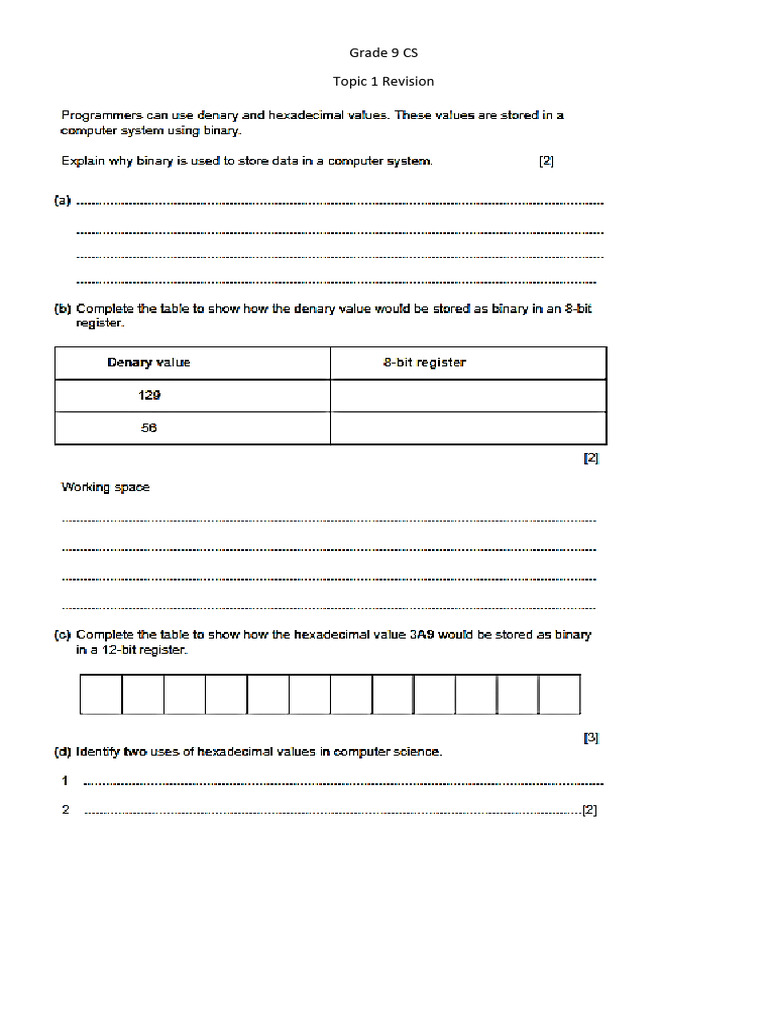 ch1 - CS Worsheet | PDF