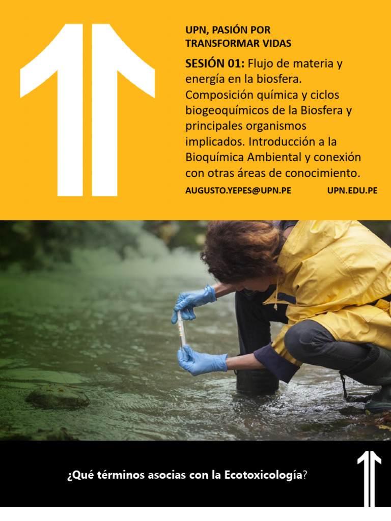 T PPT Ecotox S01 | PDF