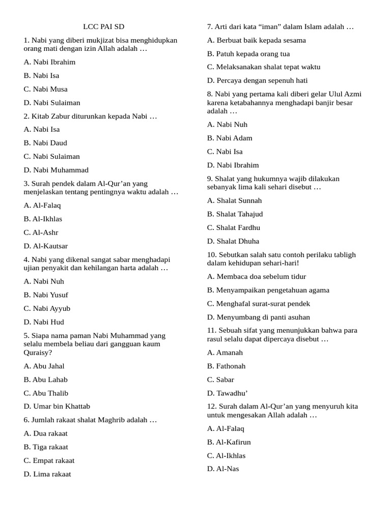 LCC Pai SD 2025 | PDF