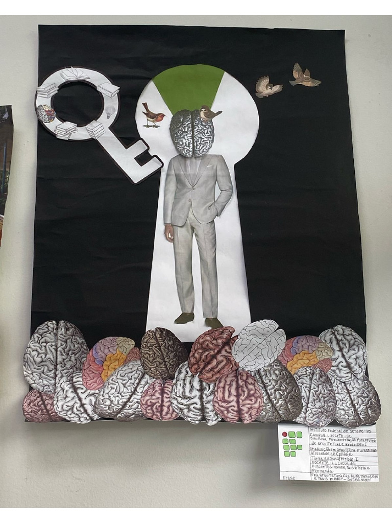 Colage 1° Periodo Turma 2024.2 | PDF