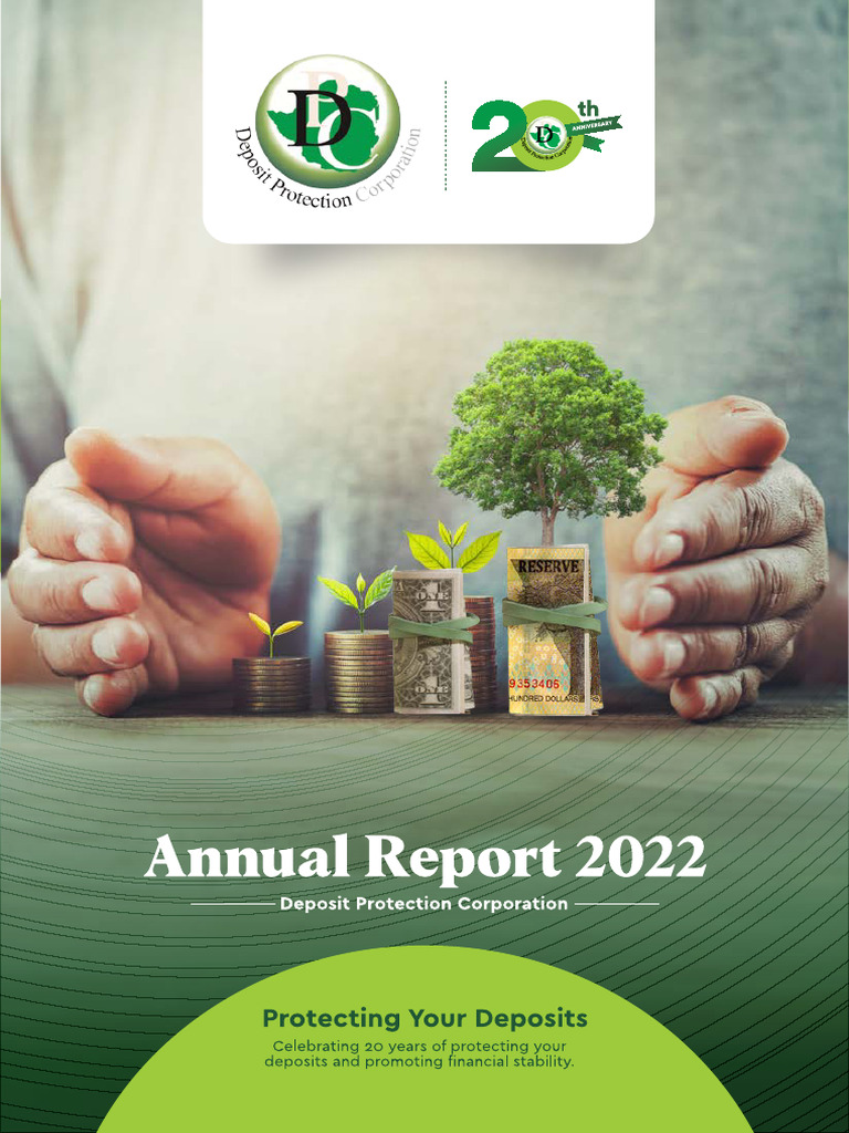 2022 DPC Annual Report 2022 | PDF | Governance | Inflation