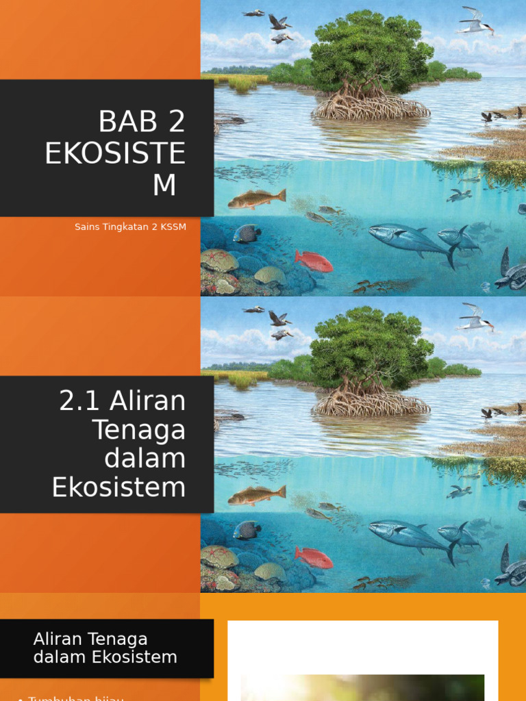 BM F2 Bab 2 | PDF