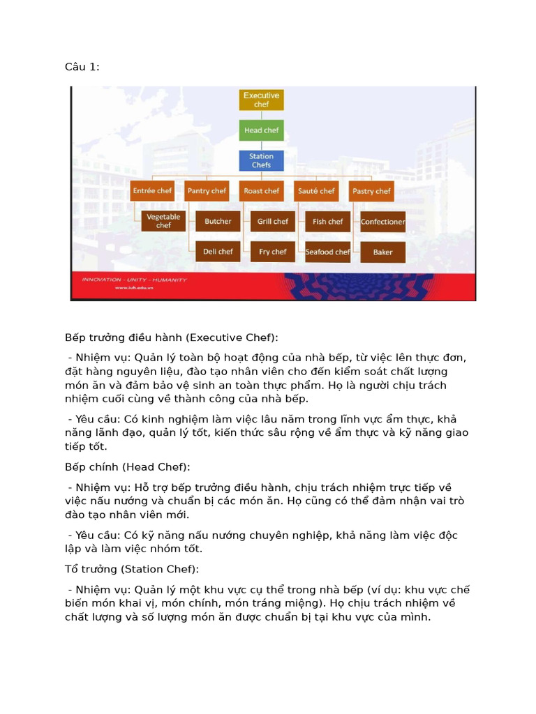 NVCB | PDF