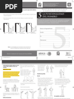 Ejercicios Codman | PDF | Hombro | Articulaciones