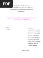 Triatominos: Vectores de Chagas | PDF | Biología