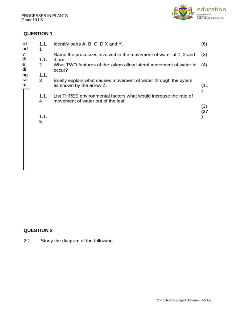 Gr10-4-WATER MOVEMENT IN PLANTS Sec B ENG 1594911277 | PDF | Stoma | Leaf