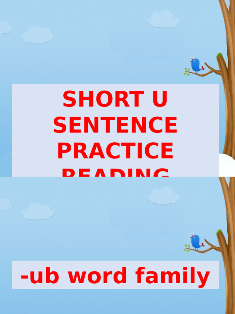 Short U Sentence Practice | PDF
