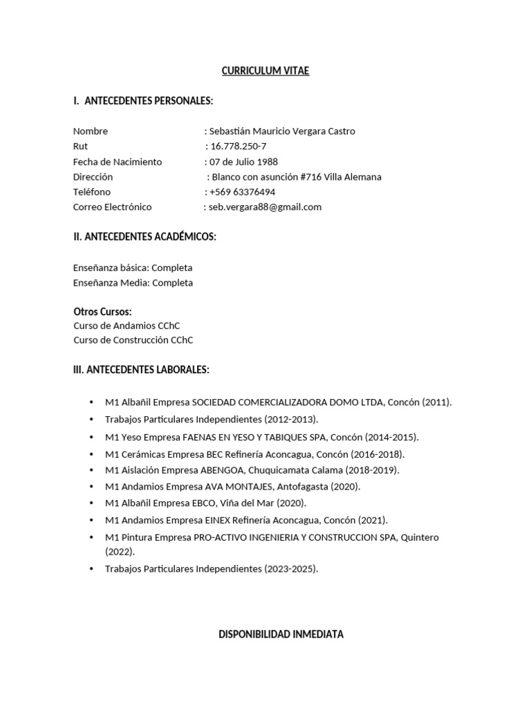 CV Sebastian | PDF