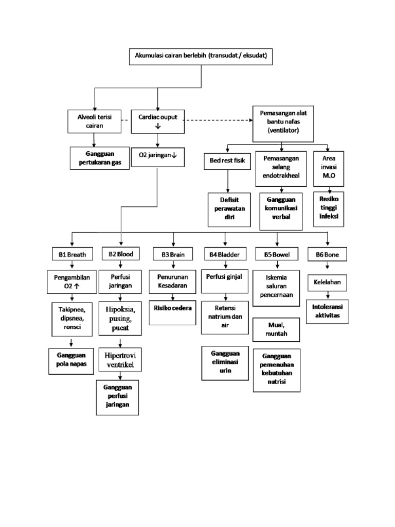 Dokumen - Tips Pathway Edema Paru 56a3de26b4ca8 | PDF