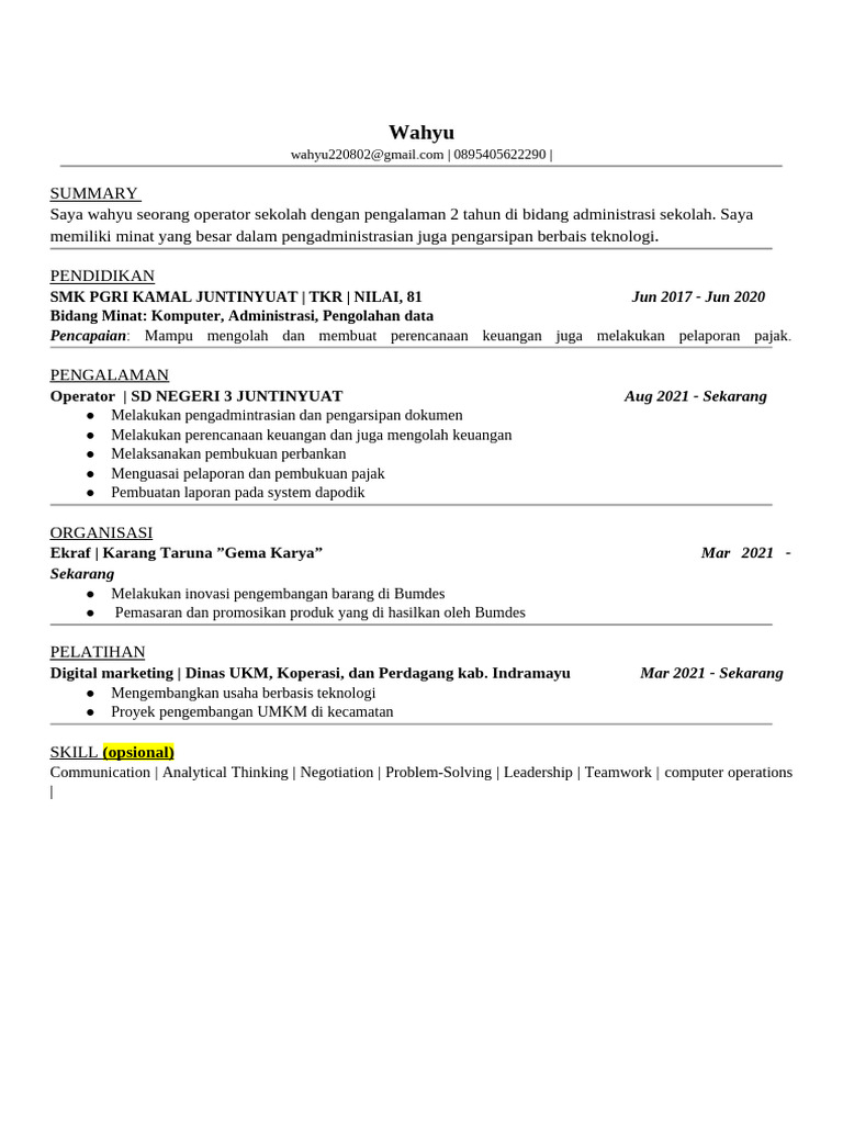Template CV | PDF