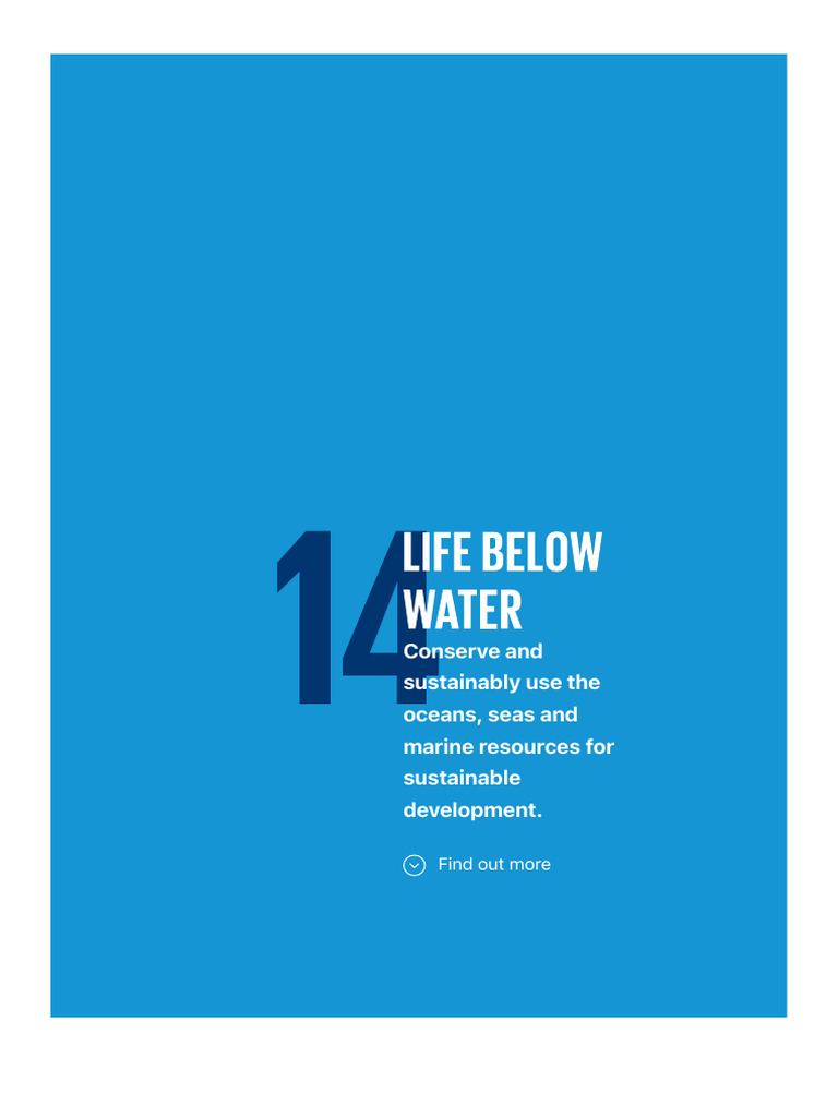 Sustainable Ocean Conservation Goals | PDF | Overfishing | Natural ...