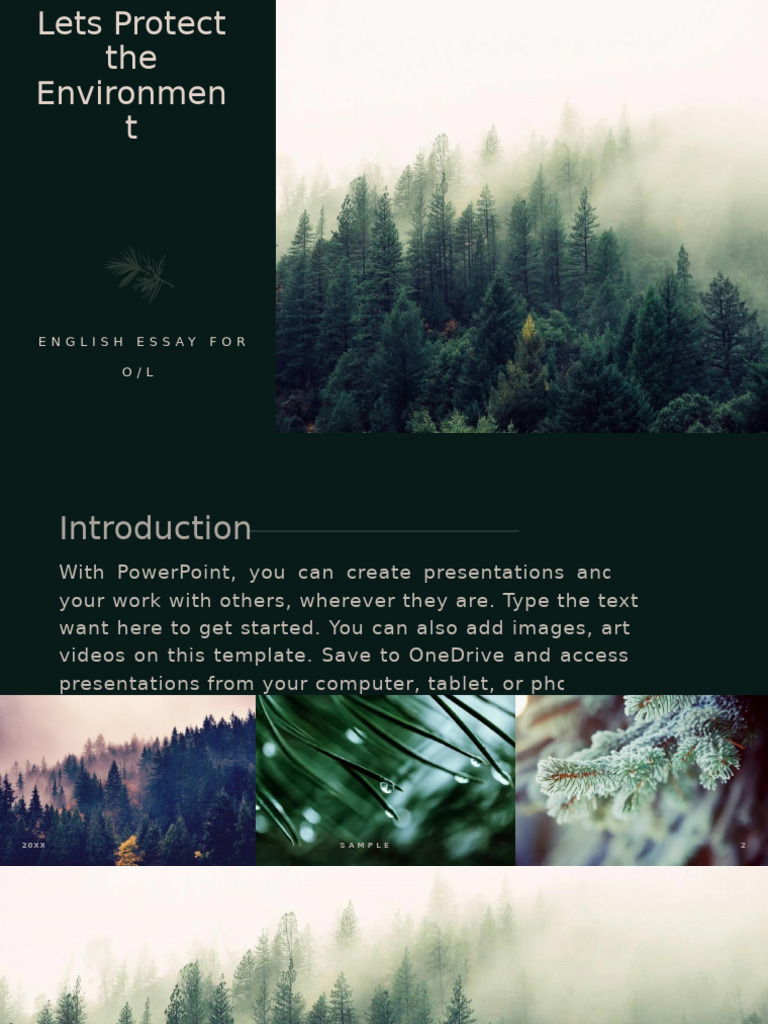 Lets Protect the Environment | PDF | Microsoft Power Point | Software