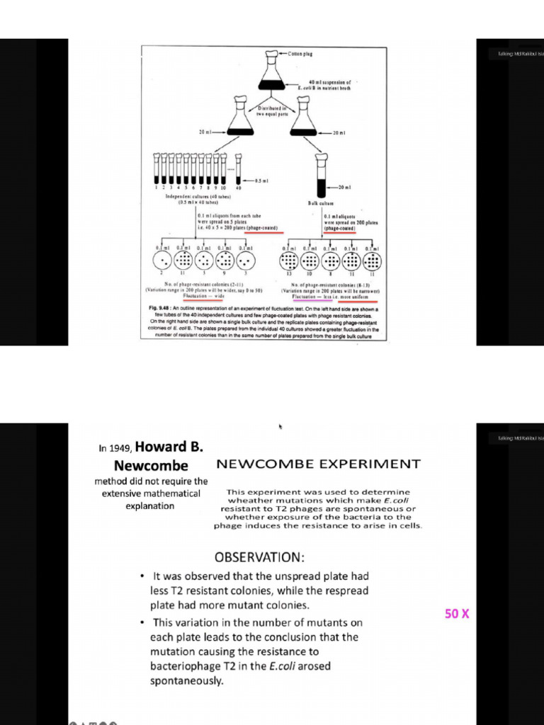 Imr 1st Online | PDF