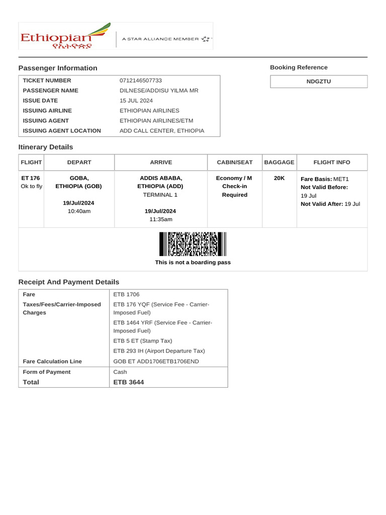 Electronic Ticket Receipt, July 19 For MR ADDISU YILMA DILNESE 3 | PDF ...