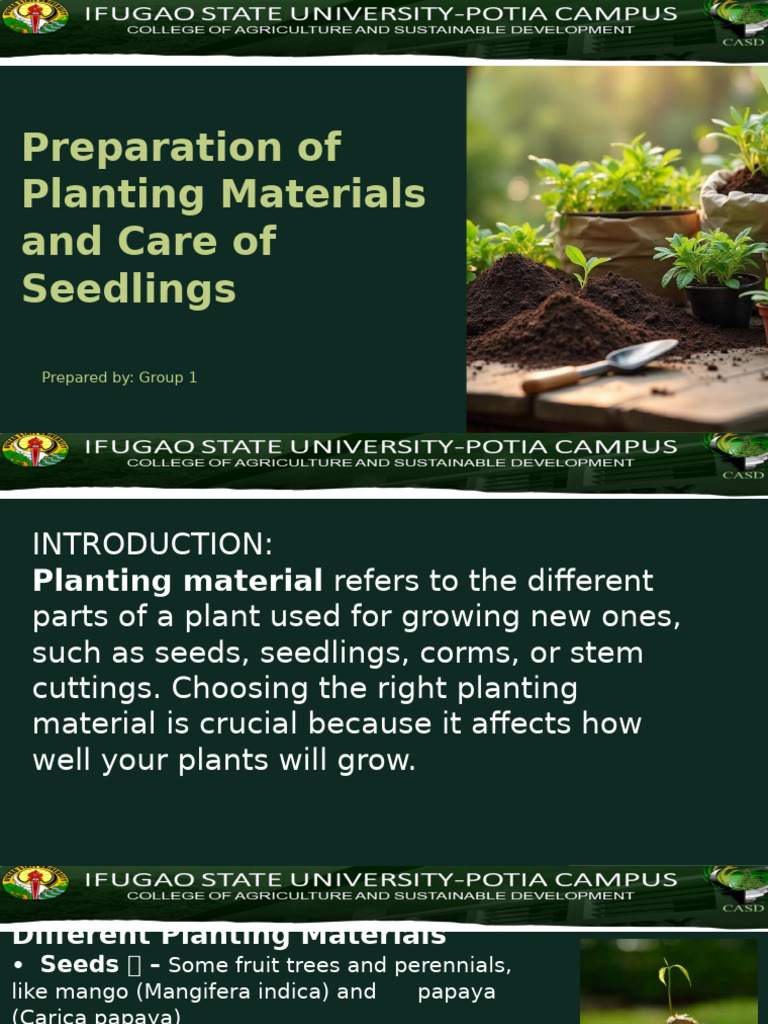 g1 Planting Materials | PDF | Seed | Seedling