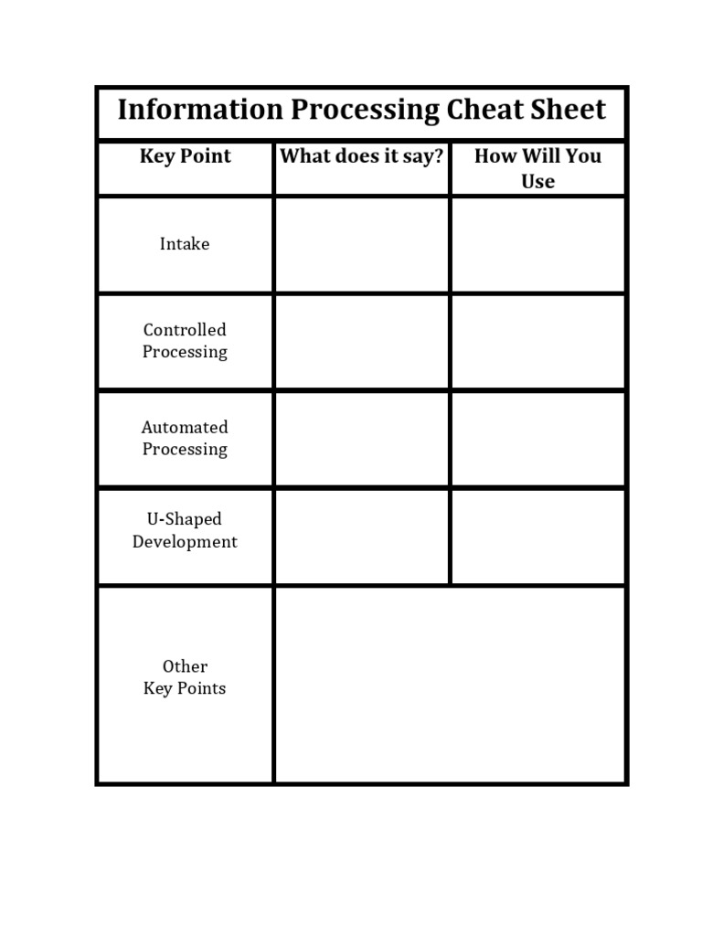 5 Information Processing Cheat Sheet | PDF