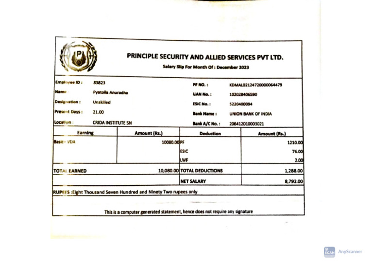 N.pay Slips | PDF