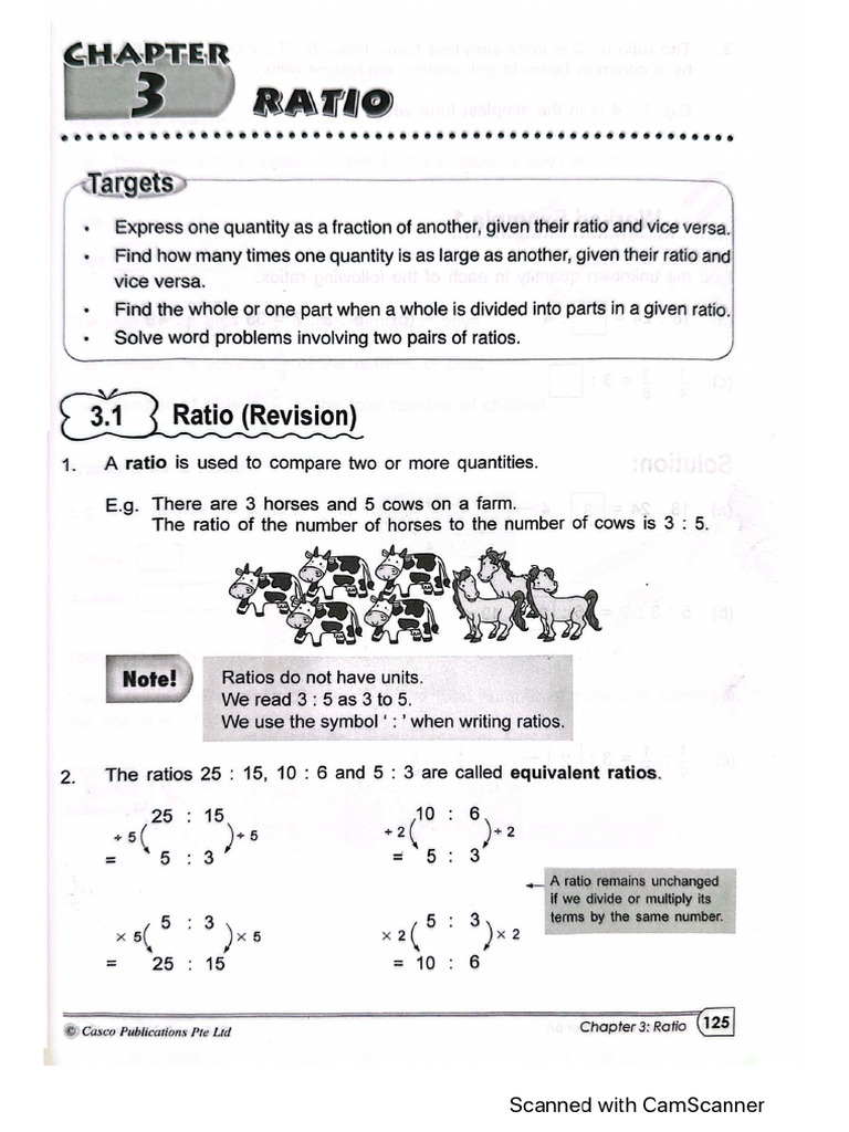 Chapter 3 Ratio | PDF