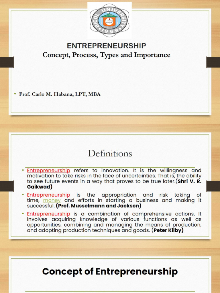 Understanding Entrepreneurship: Types & Importance | PDF