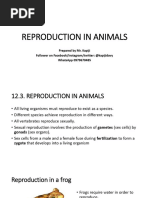 Cattle Reproductive System Overview | PDF | Luteinizing Hormone ...