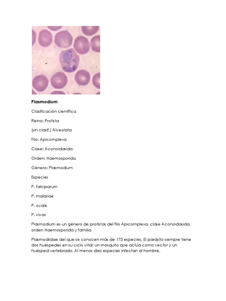 Plasmodium | PDF | Espora | Hongo