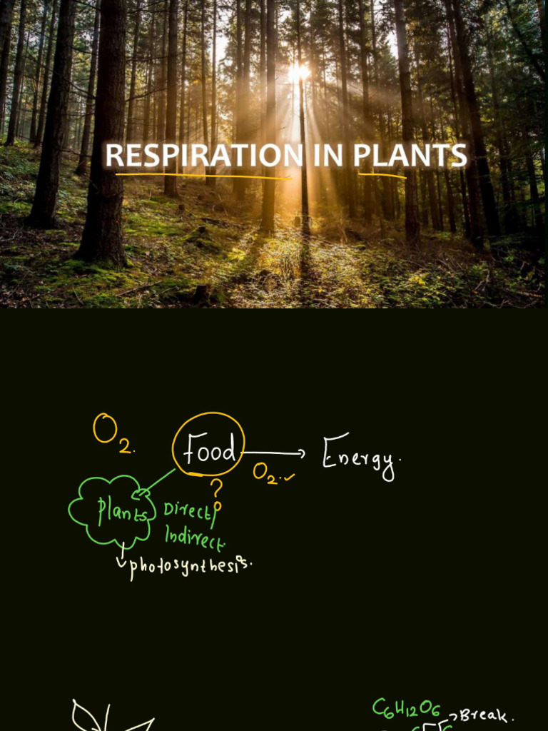Respiration in Plants One Shot Live Note | PDF