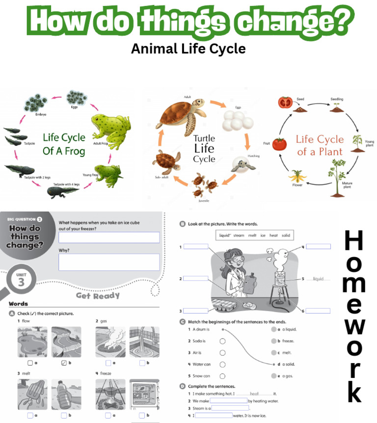 How Do Things Change A2 Speaking, ESL, Teacher Resources | PDF