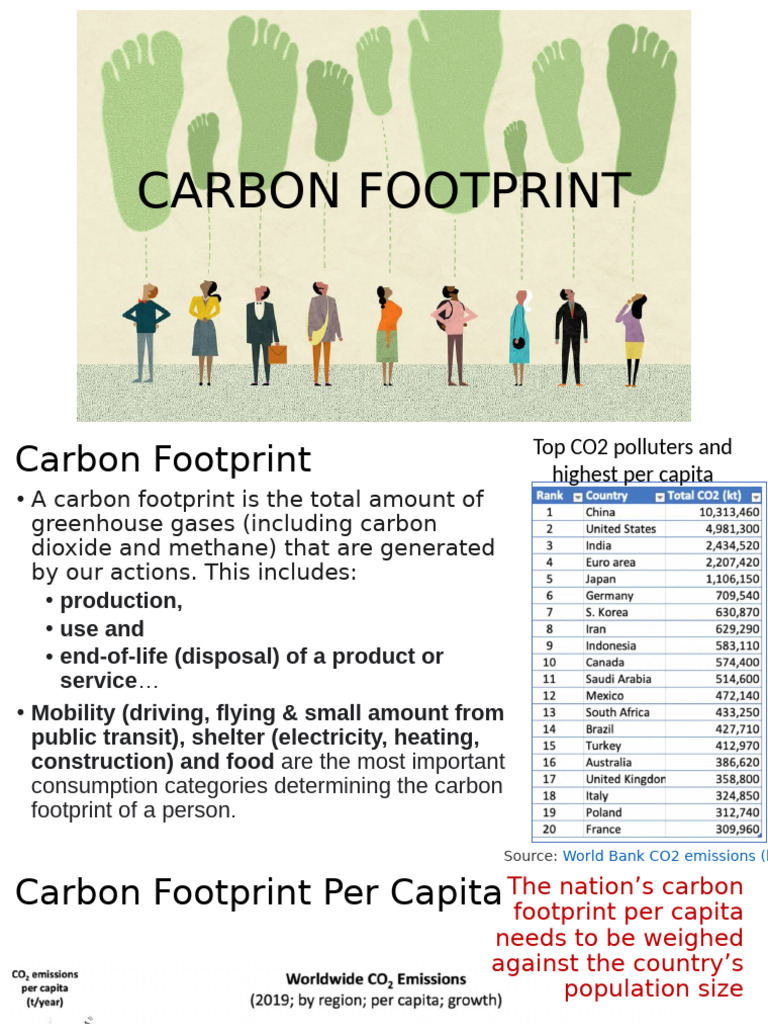 Understanding Carbon Footprint Basics | PDF