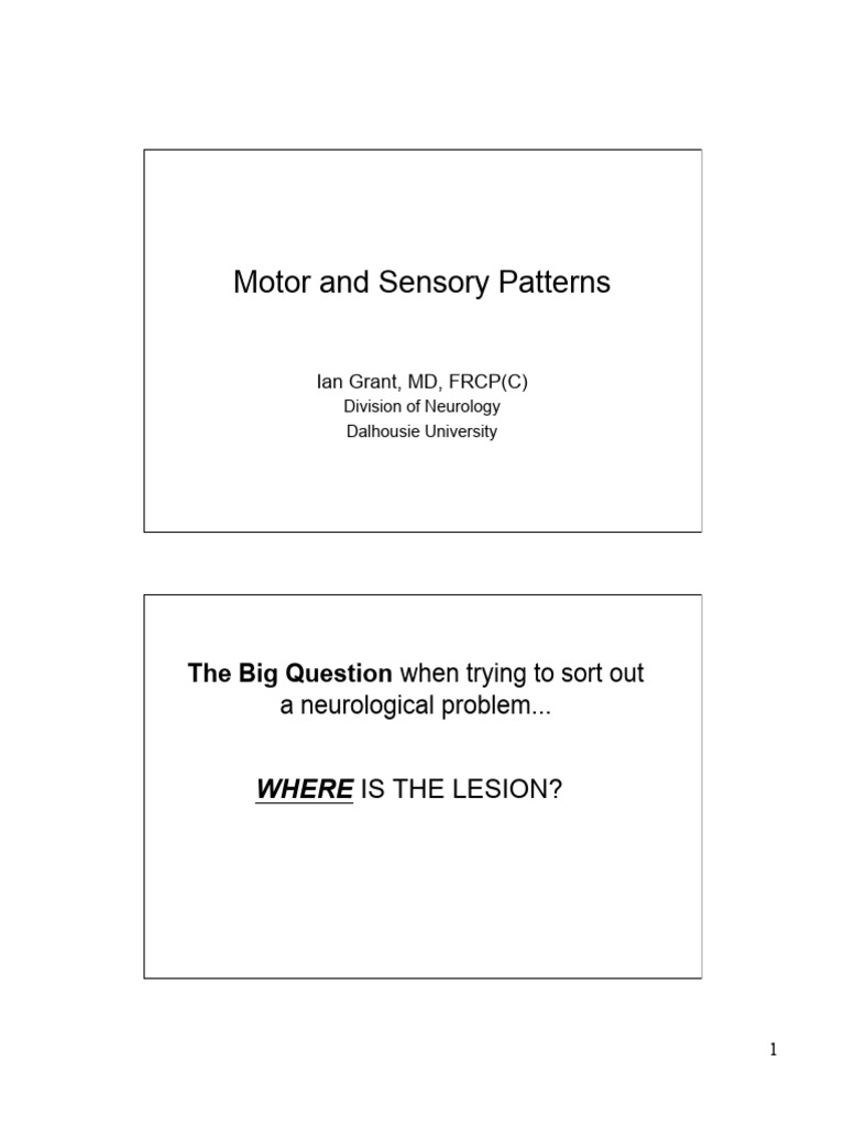 Motor and Sensory Patterns | PDF | Nerve | Peripheral Neuropathy