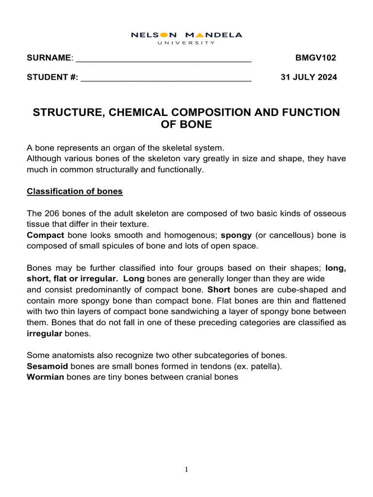 VP1. STRUCTURE AND COMP OF BONE_4a7643564a4add878859bbbe1da106c9 | PDF ...