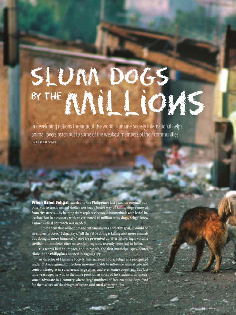 Transforming Dog Welfare in Asia | PDF | Neutering | Dogs